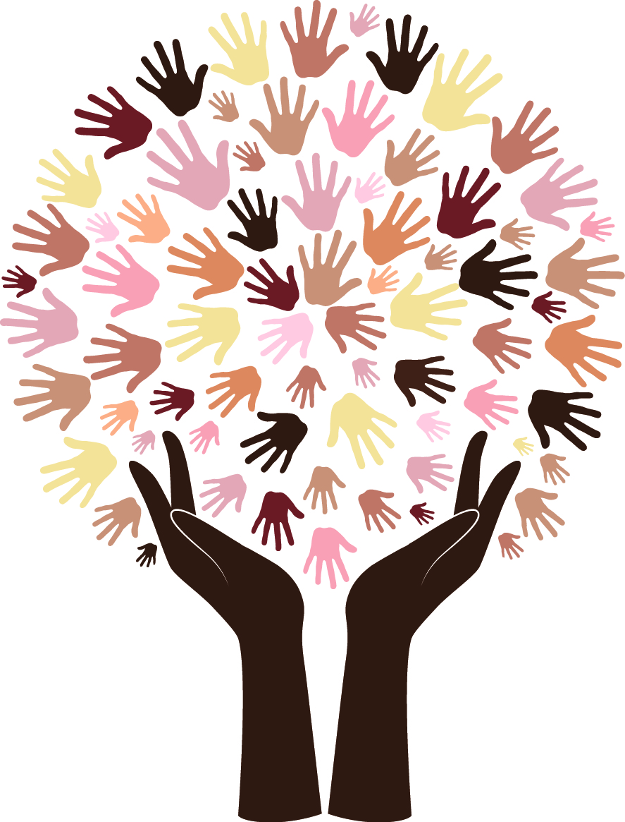 Devon Education Services online shop | DES